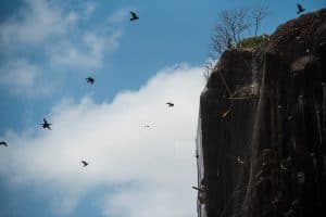 Gilbert Hill, Andheri: 66 MILLION YEAR OLD SECRET - Mumbai Guide