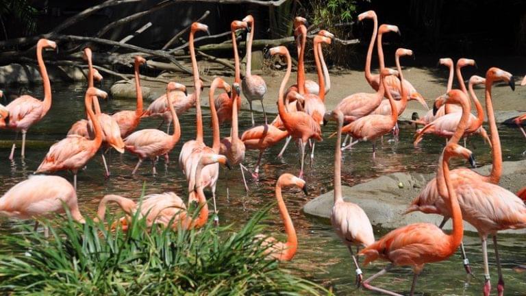 Essel World - Rides, Ticket Price, Booking, Timings (2023)